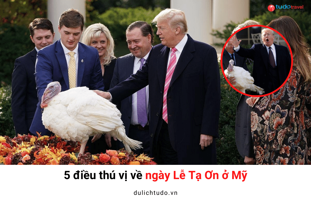 5 ĐIỀU THÚ VỊ VỀ NGÀY LỄ TẠ ƠN Ở MỸ - Du lịch tự do